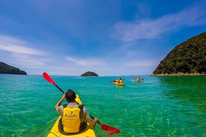Seal Sanctuary Tour - Guided Kayaking - New Zealand - A Waterside Adventure in Abel Tasman