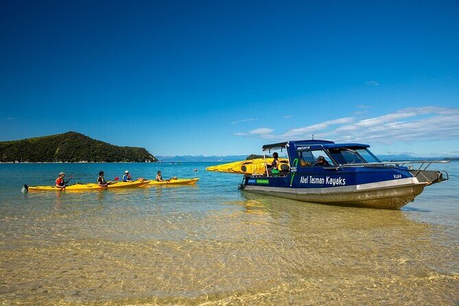 Seal Sanctuary Tour - Guided Kayaking - New Zealand - Guides and Logistics: Making It Smooth & Informative