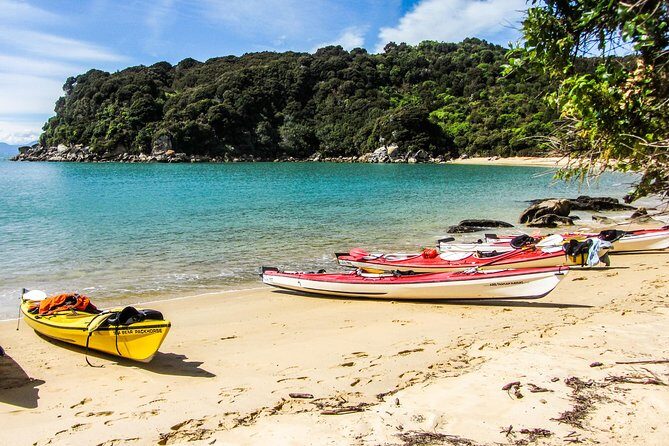 Seal Sanctuary Tour - Guided Kayaking - New Zealand - The Sum Up