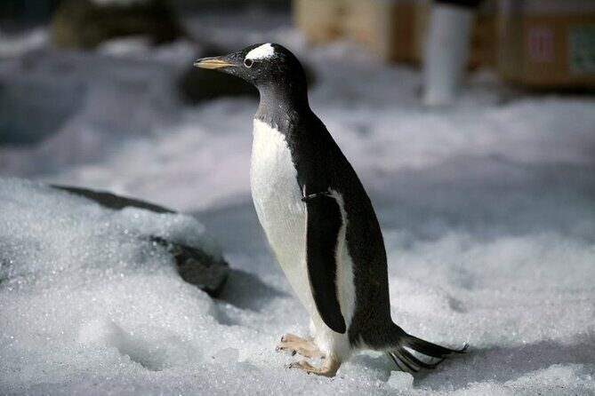 Sealife Bangkok + Madame Tussauds Bangkok for Foreigner - The Sum Up