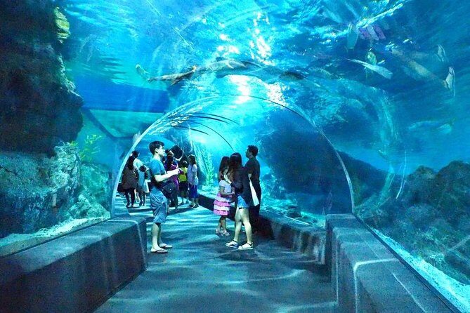 Sealife Bangkok + Madame Tussauds Bangkok for Foreigner - FAQ