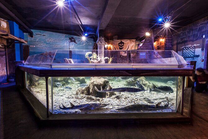 Sealife Benalmadena Entrance Ticket - A Practical Guide to Your Visit