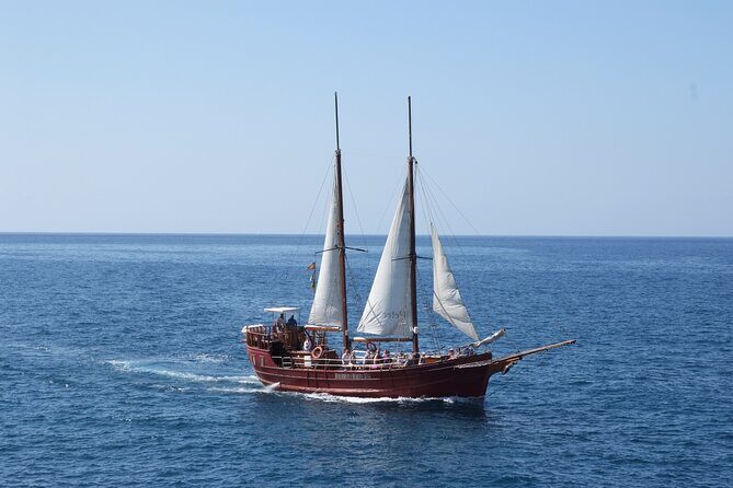 Sealife Dolphin & Whale Watching aboard Portuguese schooner - Setting Sail on Tenerife’s Marine Adventure