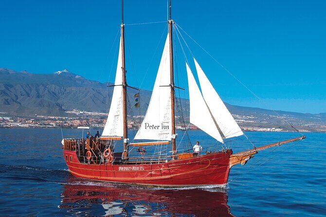 Sealife Dolphin & Whale Watching aboard Portuguese schooner - Final Thoughts