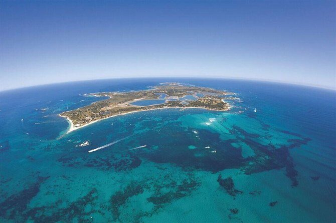 Sealink Bike & Ferry Package from Fremantle - An In-Depth Look at the Experience