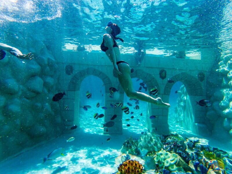 Seapark: Swimming in Pool Aquarium with Authentic Creatures - Key Points