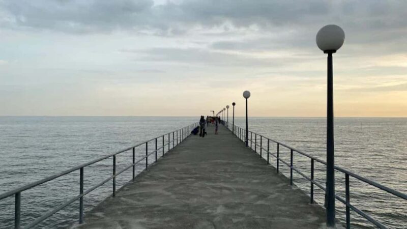 Seaside Charms & Eco Discoveries: Morib to Bagan Lalang - Key Points