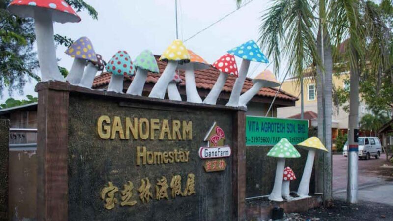 Seaside Charms & Eco Discoveries: Morib to Bagan Lalang - FAQ