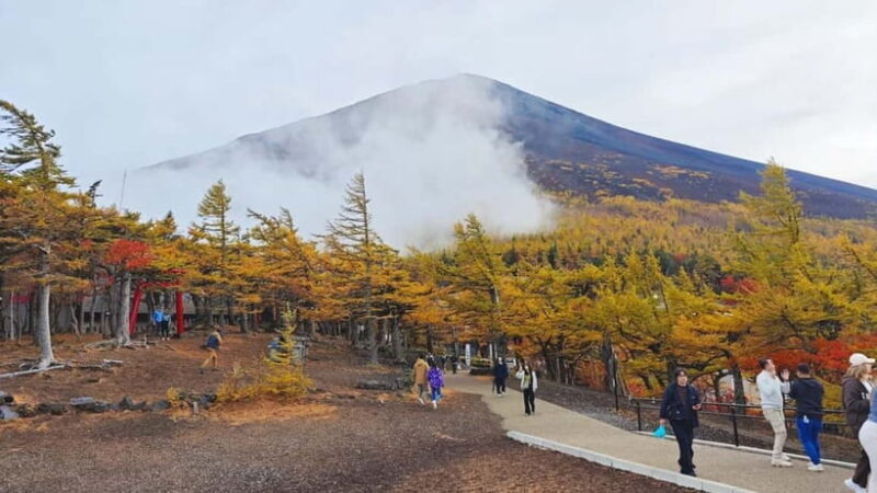 [Seasonal Limited] Mt. Fuji 5th Station &Hot Spring Day Tour - Genuine Traveler Insights