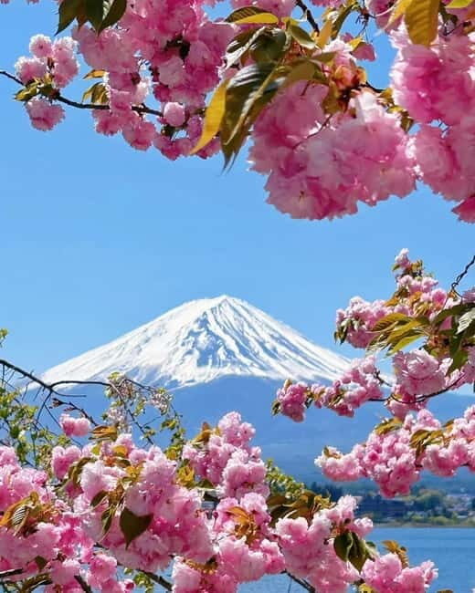 [Seasonal Limited] Mt. Fuji 5th Station &Hot Spring Day Tour - Who Is This Tour Best For?