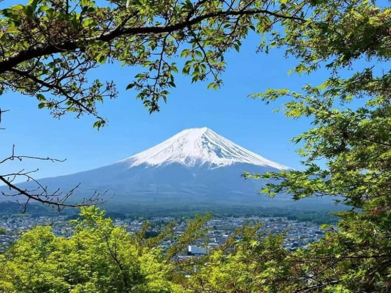 [Seasonal Limited] Mt. Fuji 5th Station &Hot Spring Day Tour - Final Thoughts: Is It Worth It?