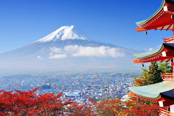 Seasonal Mt. Fuji Scenic Views, Fruit Picking and Ropeway Ride! - The Sum Up: Who is This Tour Perfect For?