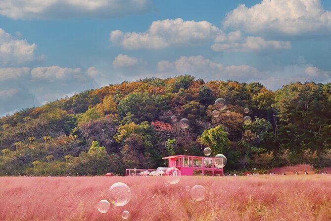 Seasonal Pocheon Full Day Tour with Apple Farm Experience - Return to Seoul: A Satisfying End