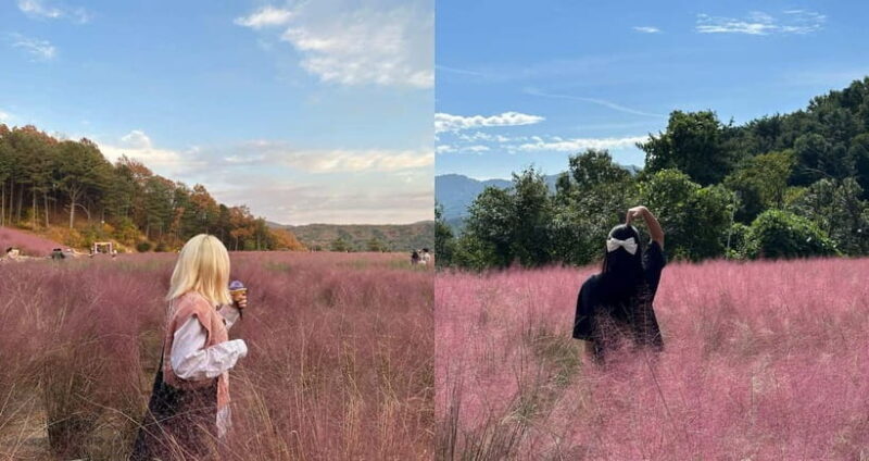 Seasonal Pocheon Full Day Tour with Apple Farm Experience - A Well-Rounded Day in Pocheon