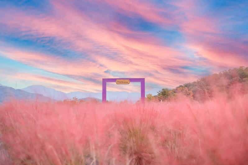 Seasonal Pocheon Full Day Tour with Apple Farm Experience - The Sum Up