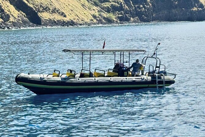 Seasonal Small-Group Humpback Whale Watching in Kona - Who Should Consider This Tour?