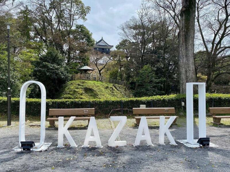 Seasonal Splendor Kyoto Cherry Blossoms (Spring Only) - Scenic Viewpoints and Hidden Corners