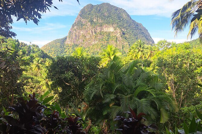 Seasoned Experience at Esperance Estate - Why This Tour Offers Great Value