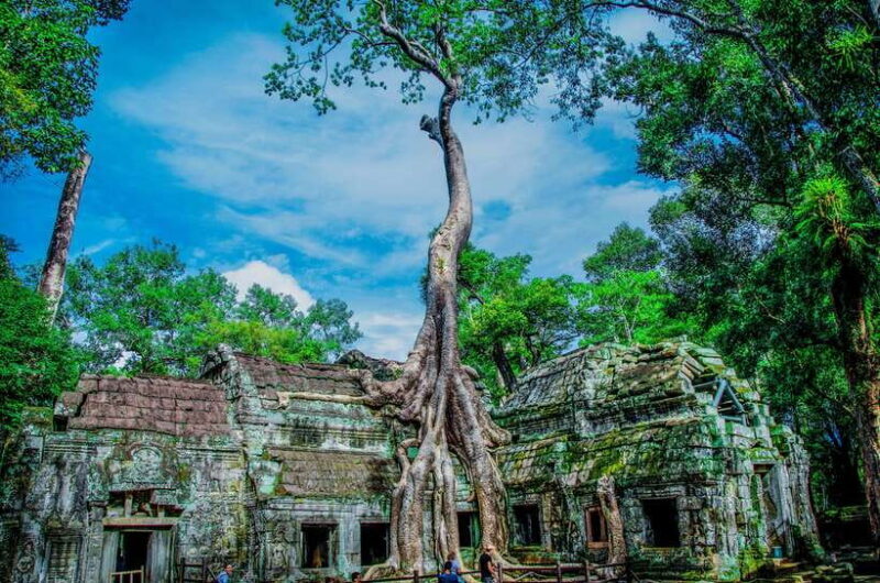 Seat-In-Coach: Small Circuit tour with Sunrise at Angkor Wat - The Real Experience — What Travelers Say