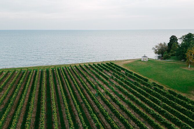 Seated Tasting Experience at Konzelmann Winery - A Closer Look at the Konzelmann Winery Seated Tasting