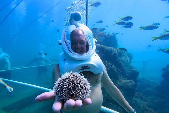 SeaTrek Tour St. Maarten - What to Expect from the Tour