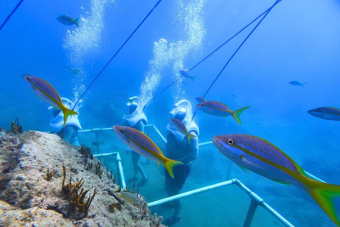 SeaTrek Tour St. Maarten - Frequently Asked Questions