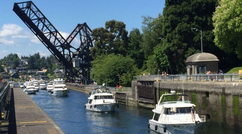 Seattle: 3-Hour City Highlights Tour - Authentic Perspectives from Travelers