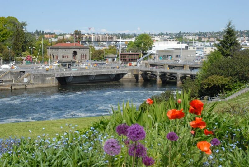 Seattle: 3-Hour City Tour by Bus - FAQ: Practical Questions about the Seattle 3-Hour Bus Tour