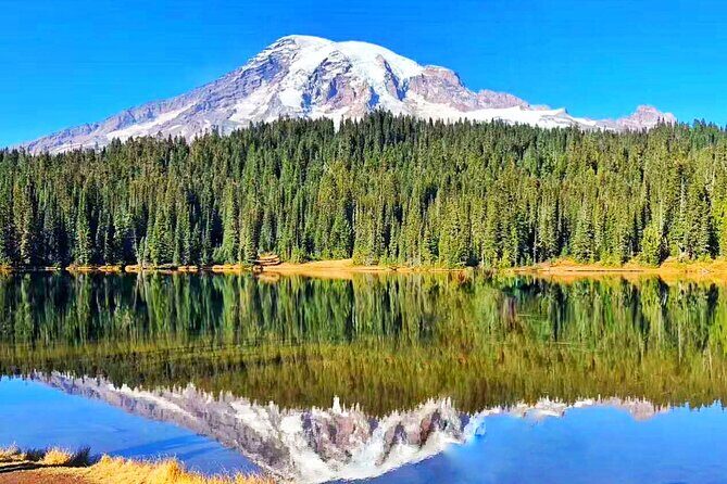 Seattle Amtrak Coast Starlight Redwood 7 day Tour from SF - FAQs