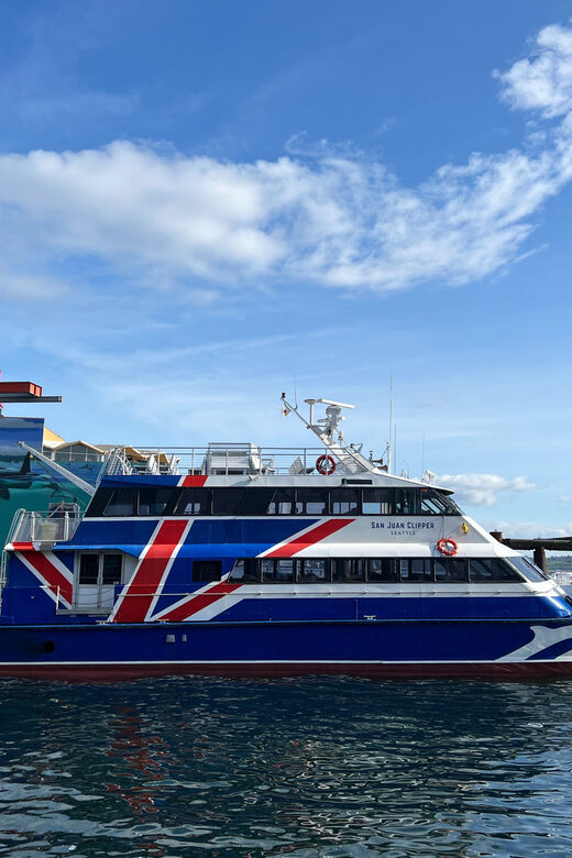Seattle: Half-Day Wildlife and Whale Watching Cruise - What to Expect from Your Seattle Whale Watch Tour