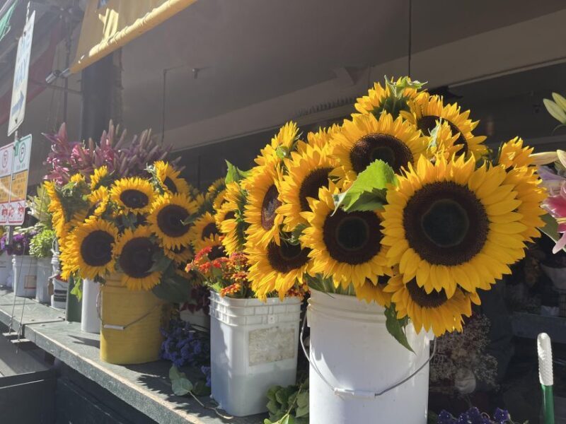 Seattle: Meet Me at the Market Food Tour - The Value of This Tour