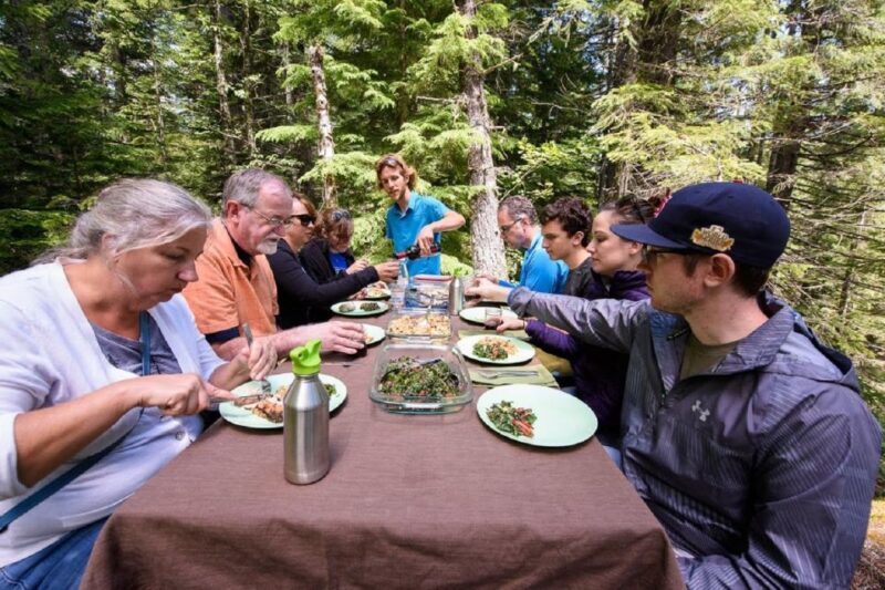 Seattle: Mount Rainier Park All-Inclusive Small Group Tour - Setting the Scene: What You Can Expect
