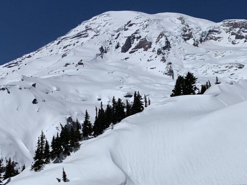 Seattle: Mt. Rainier Hiking w/ Waterfalls, Glaciers & Trees - Final Thoughts