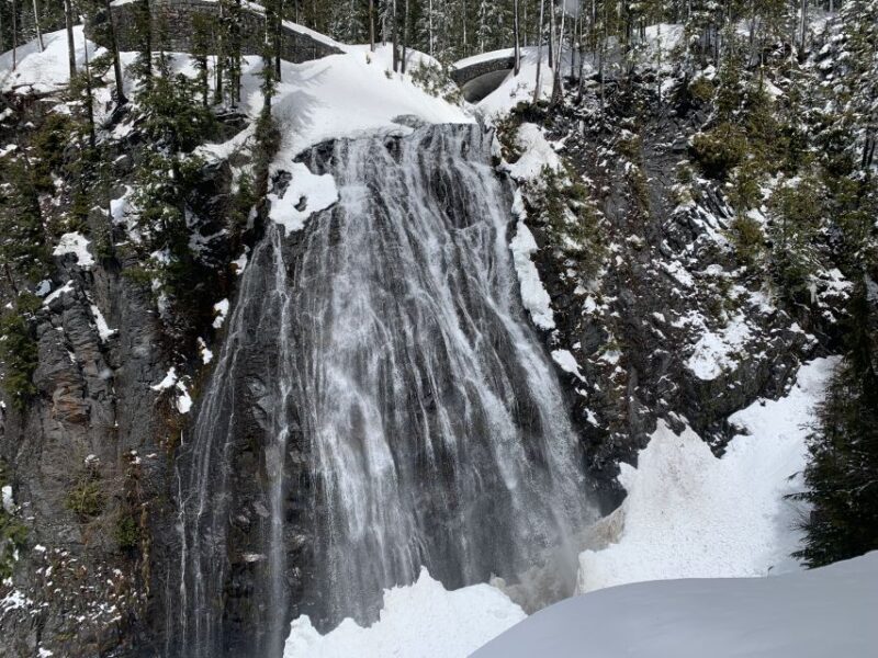 Seattle: Mt. Rainier Hiking w/ Waterfalls, Glaciers & Trees - Frequently Asked Questions