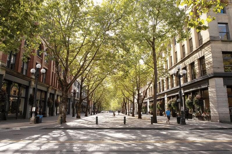 Seattle : Must-See Attractions Walking Tour With A Guide - Final Thoughts