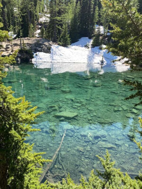 Seattle: North Cascades Day Trip Experience - Key Points