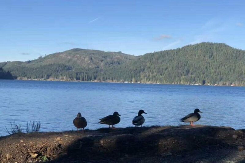Seattle: Olympic National Park Day Tour with Scenic Ferries - First Impressions of the Tour