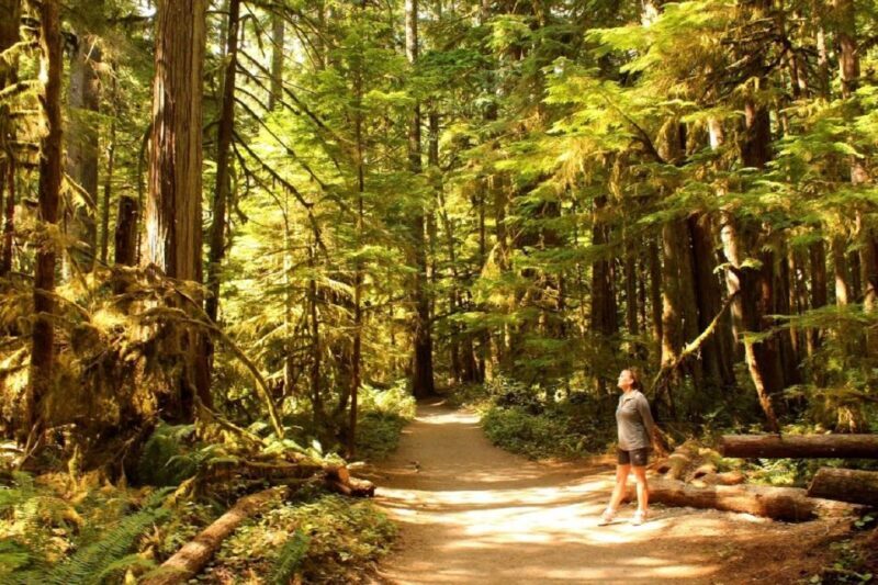 Seattle: Olympic National Park Small-Group Tour - The itinerary breakdown — what to expect