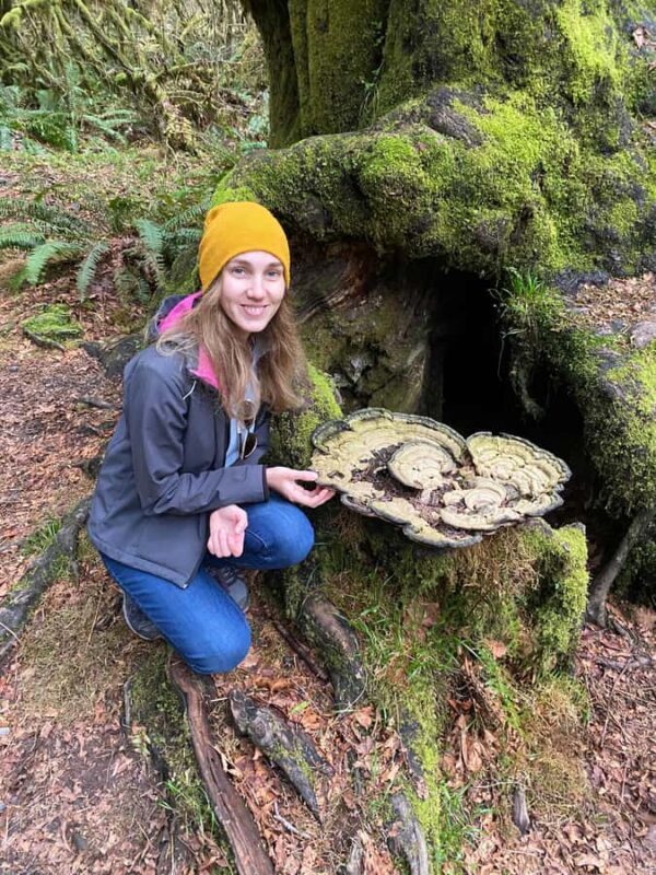 Seattle: Rainforest and Olympic National Park Highlights - An Introduction to the Tour