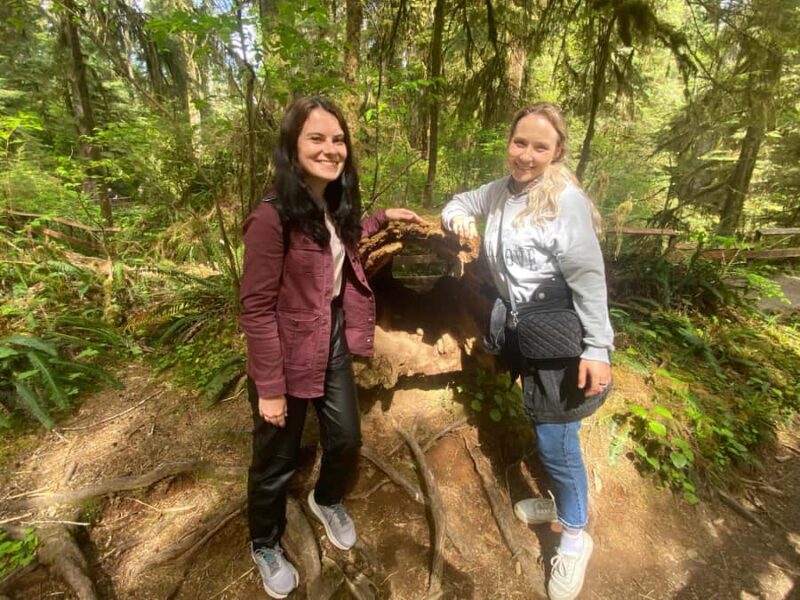 Seattle: Rainforest and Olympic National Park Highlights - The Value and Overall Experience