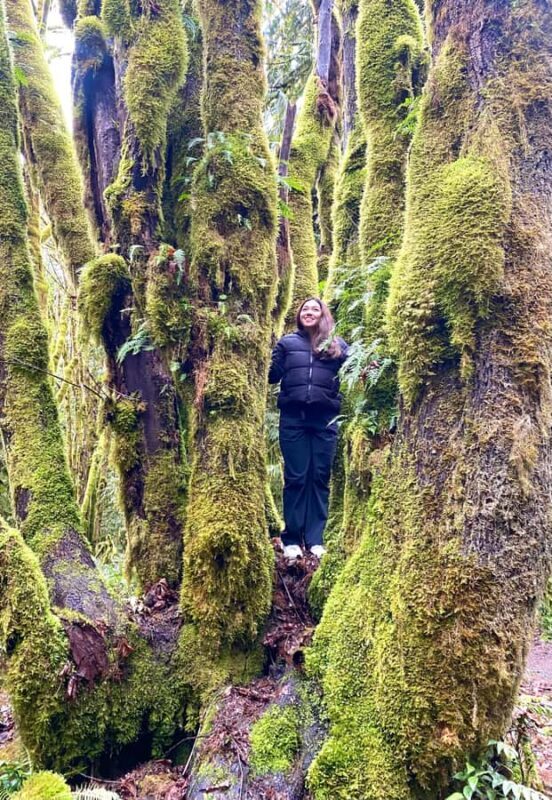 Seattle: Rainforest and Olympic National Park Highlights - FAQ