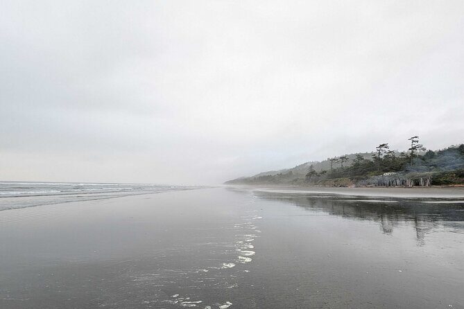 Seattle to Edmonds 4WD Private Tour - Who Should Consider This Tour?