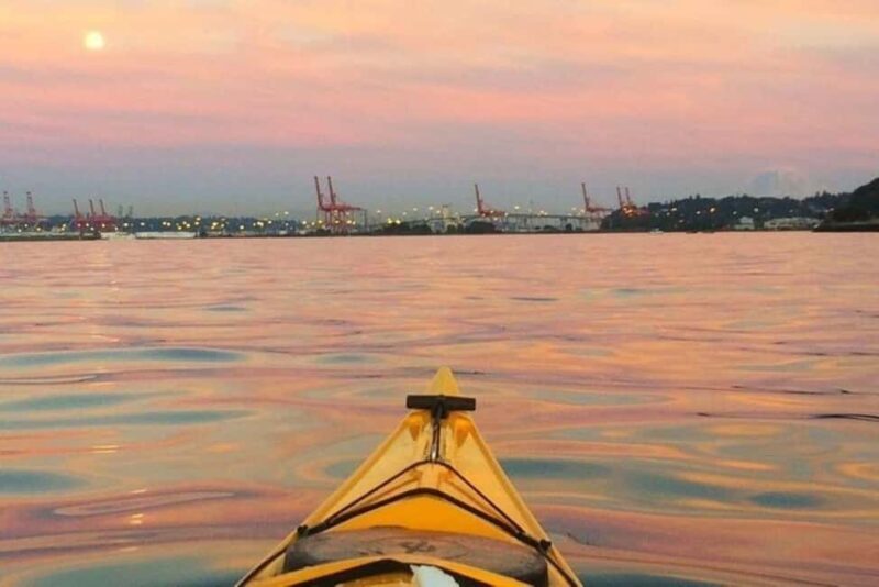 Seattle: West Seattle Sunset Sea Kayak Tour - A Detailed Look at the West Seattle Sunset Sea Kayak Tour