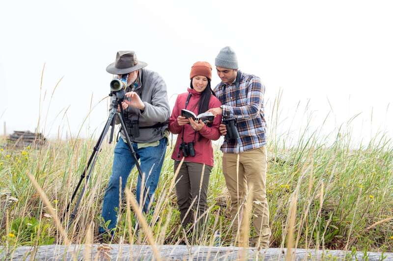Seattle: Whidbey Island Deception Pass + Winter Birding Trip - An In-Depth Look at the Tour Experience