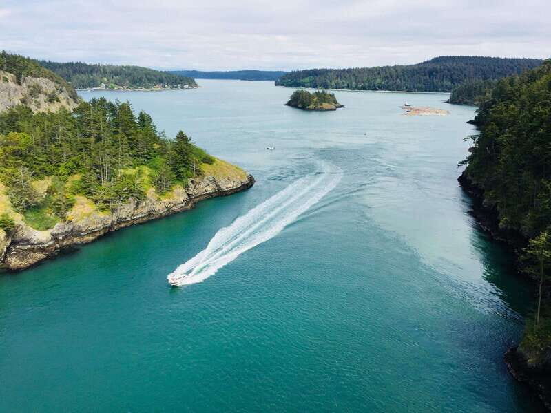 Seattle: Whidbey Island Deception Pass + Winter Birding Trip - Who Should Consider This Tour?