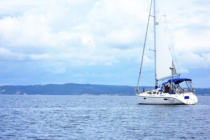 Seattle's Best Private Sailing Adventure on the Puget Sound BYOB! - The Value: Price and What You Get