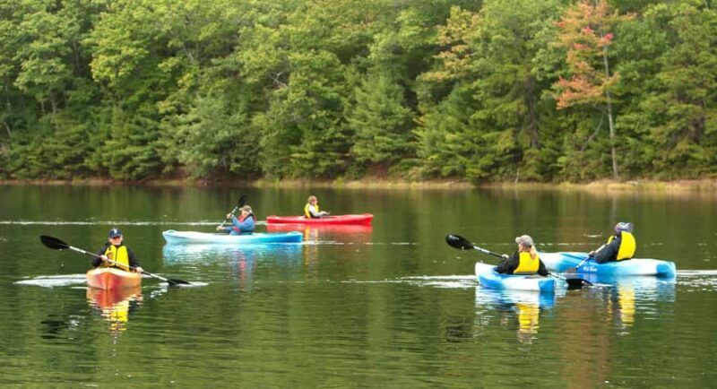 Sebago Lake: Half-Day Kayak Rental - Discovering Sebago Lake by Kayak: An In-Depth Review