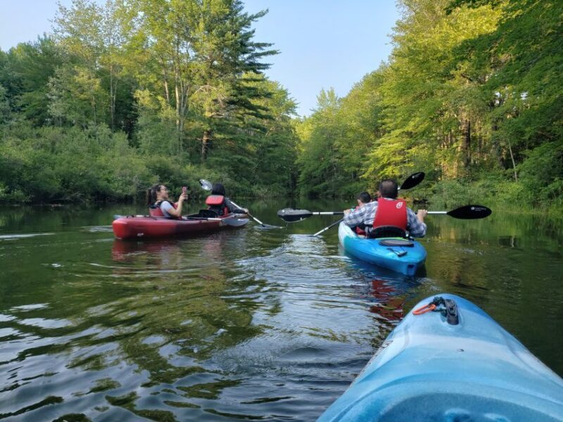 Sebago Lake: Half-Day Kayak Rental - Final Thoughts on Value & Suitability
