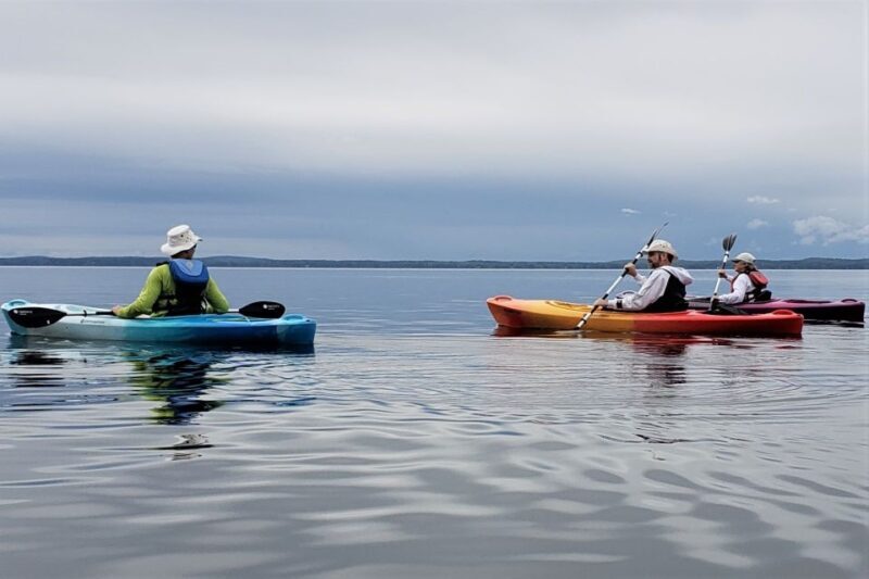 Sebago Lake: Half-Day Kayak Rental - Who Should Consider This Experience?