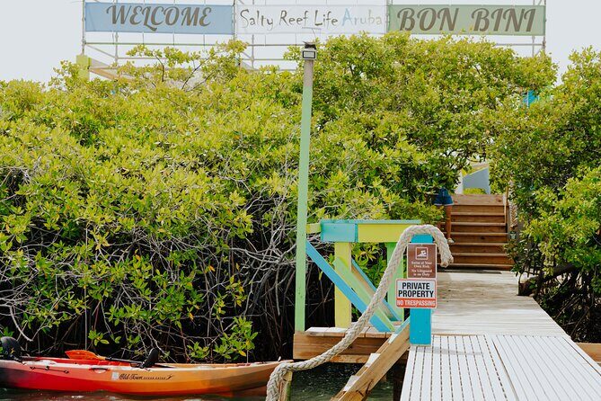 Secluded Relaxation at Aruba Private Reef Island-1/2 Day-Group 5 - What is the Aruba Private Reef Island Experience?